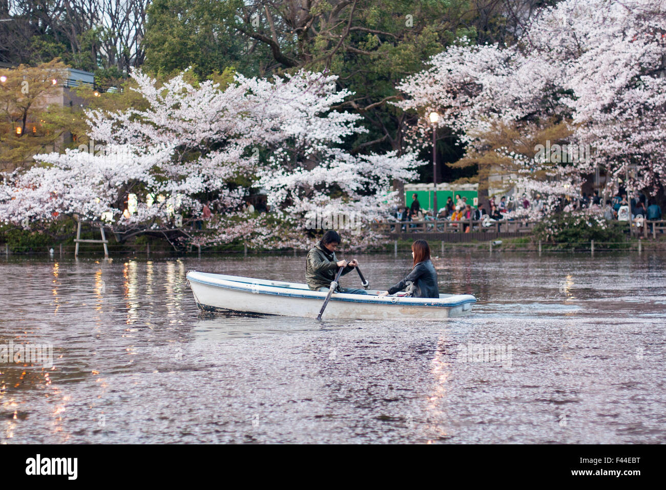 Japanese couple in rowing boat hi-res stock photography and images - Alamy