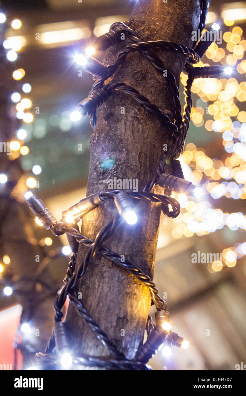 Christmas lights wrapped around tree hi-res stock photography and ...
