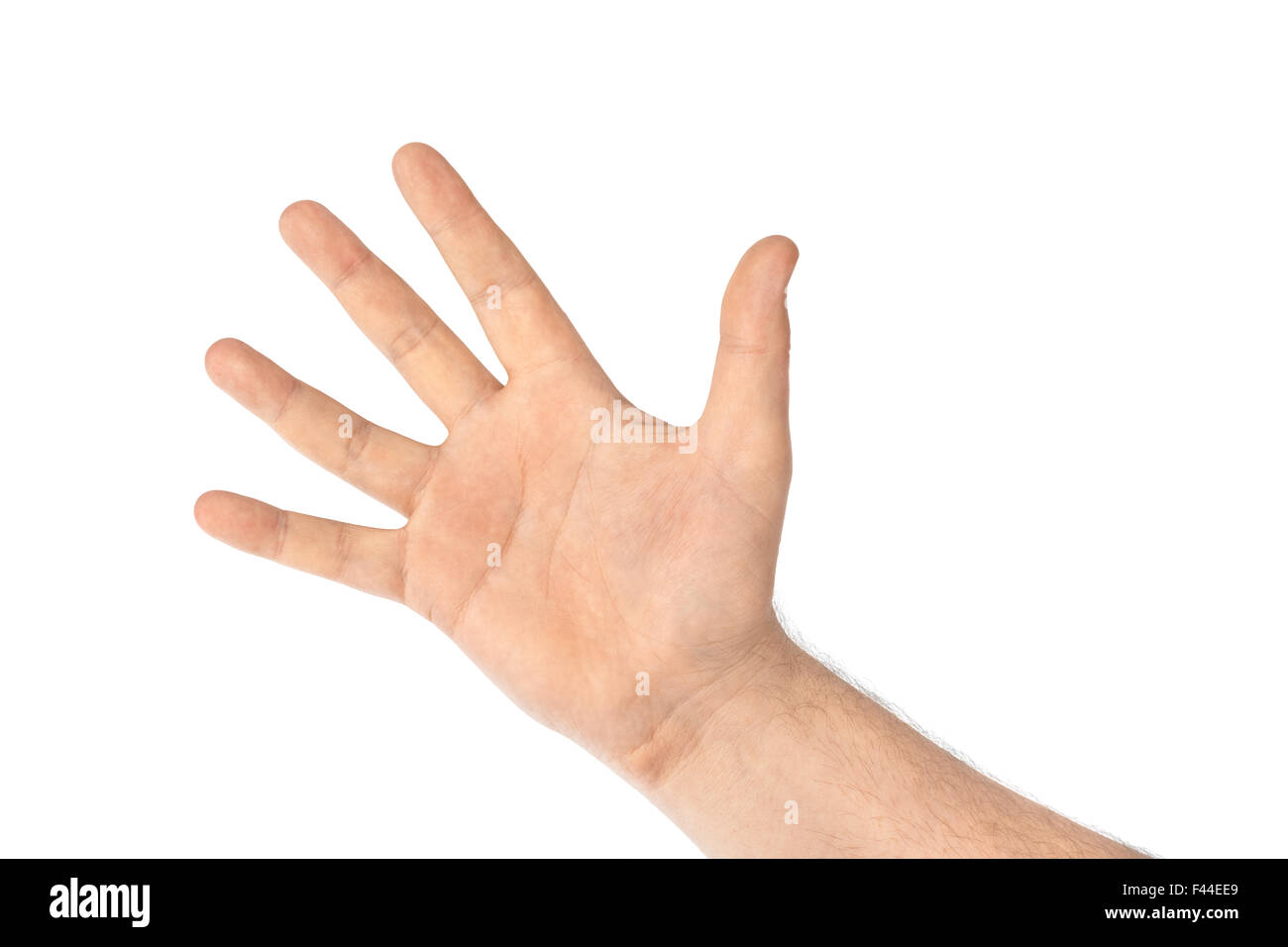 Five fingers human hand Cut Out Stock Images & Pictures - Alamy