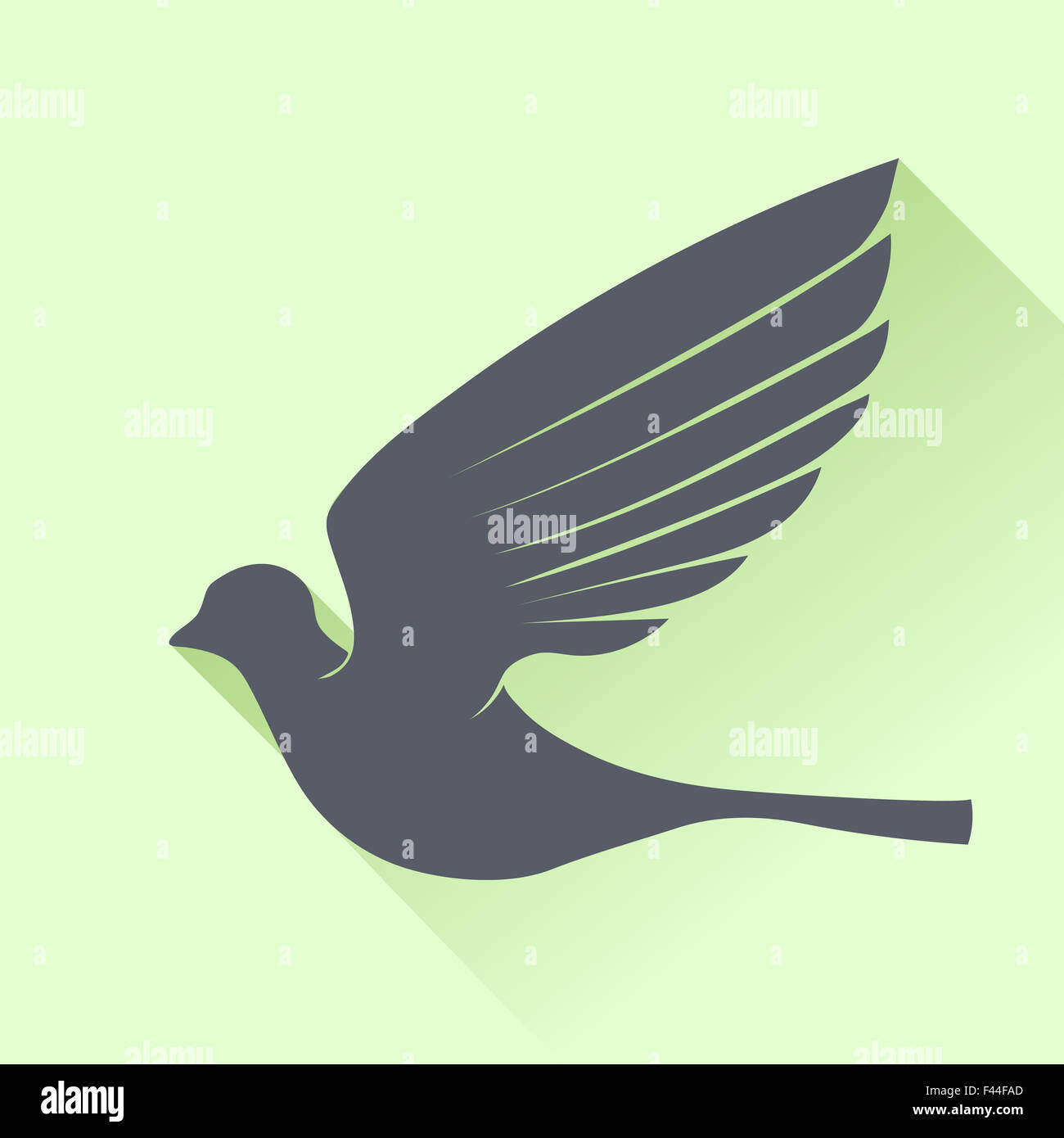 Grey bird hi-res stock photography and images - Alamy
