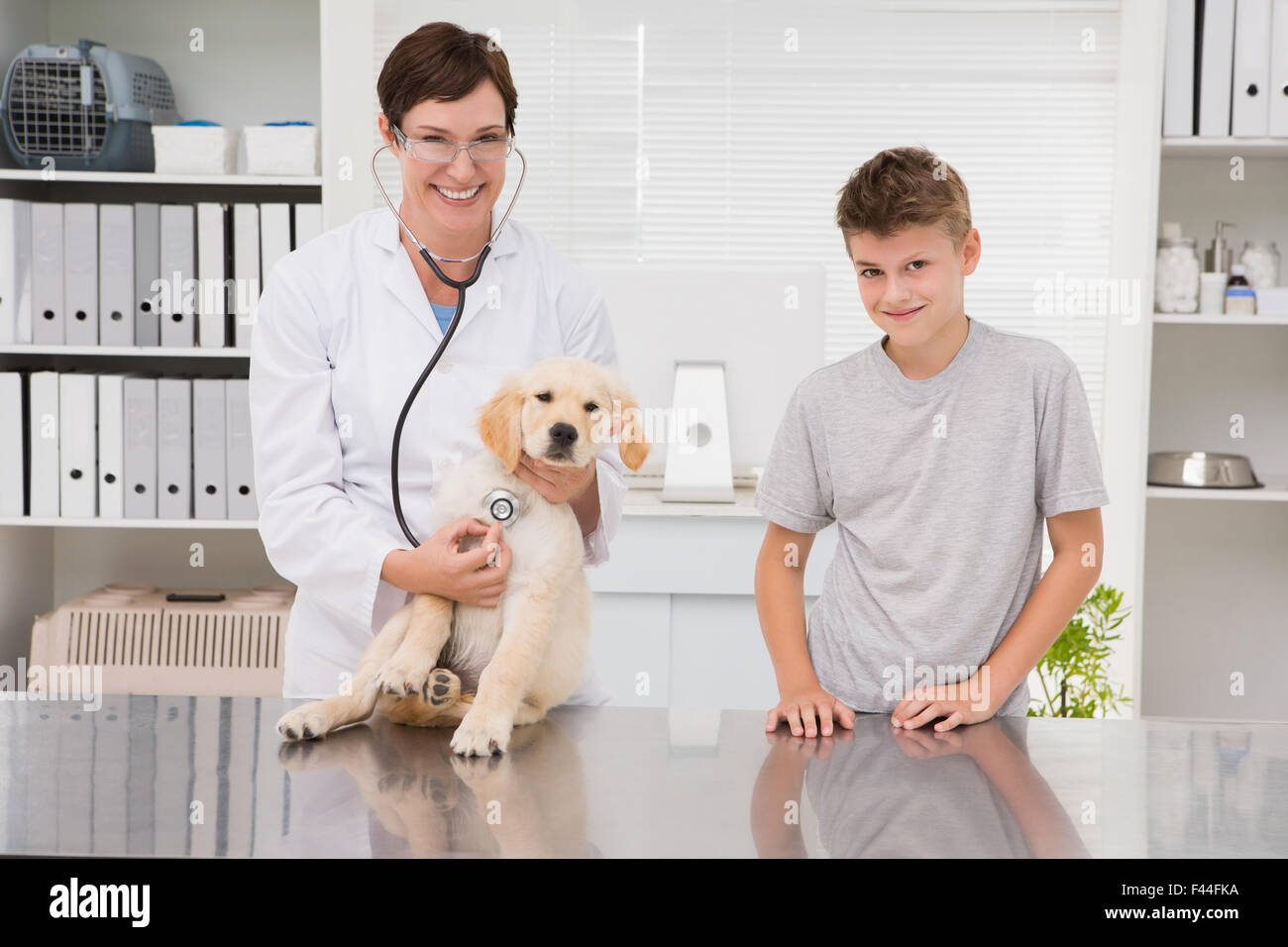 Vet examining a dog with its owner Stock Photo - Alamy