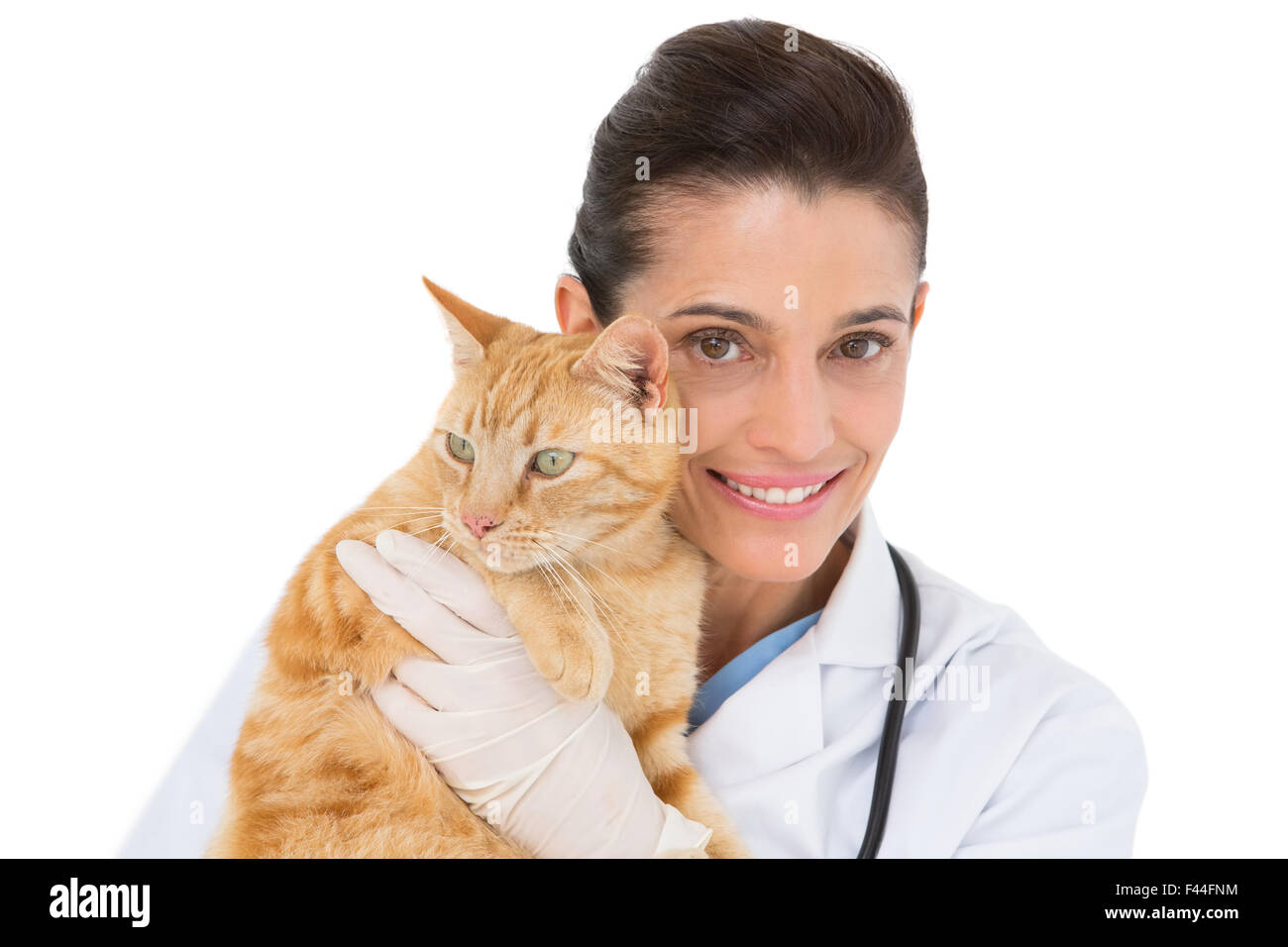 Smiling vet with a cat in her arms Stock Photo - Alamy