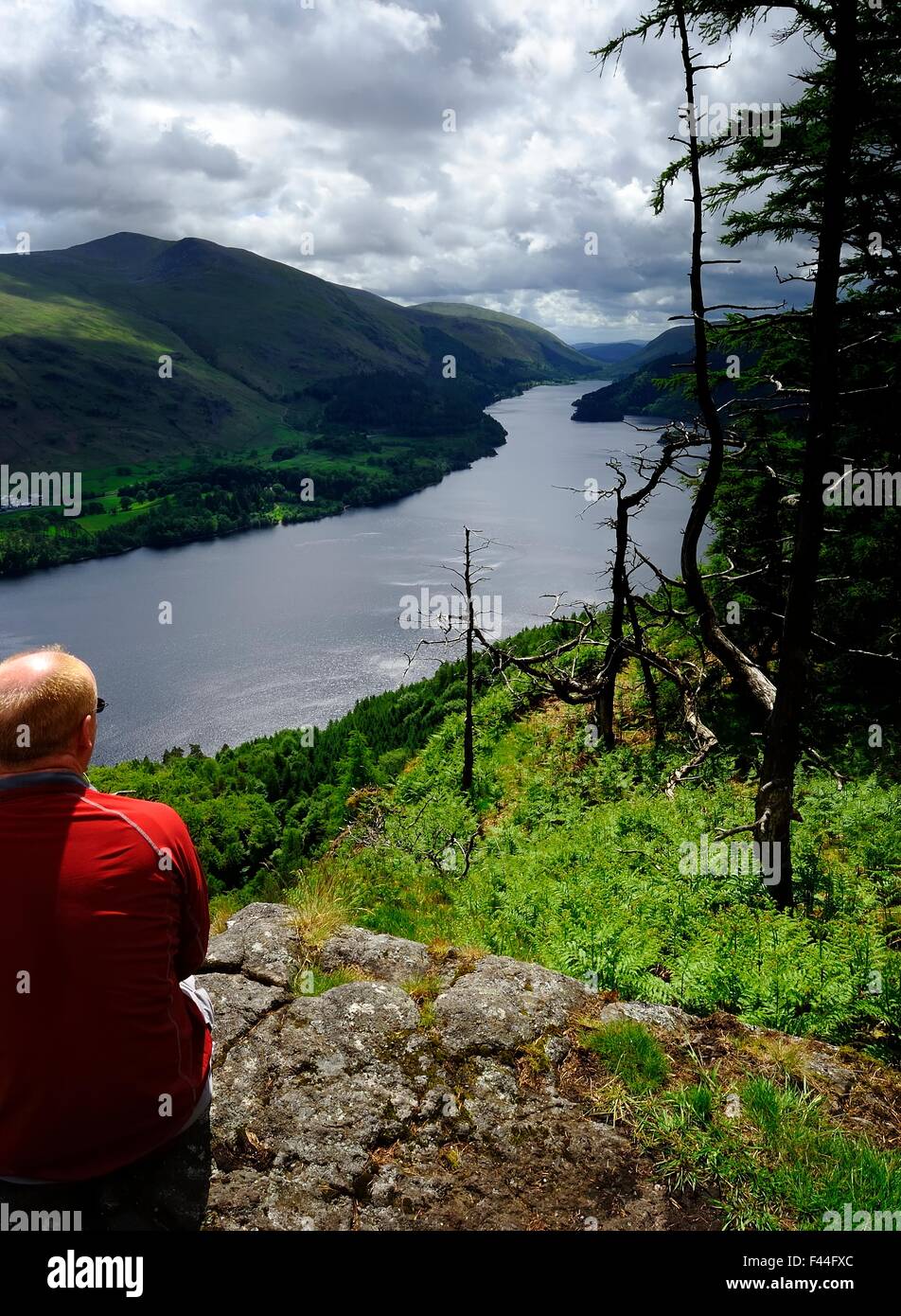 Raven sitting on edge hi-res stock photography and images - Alamy
