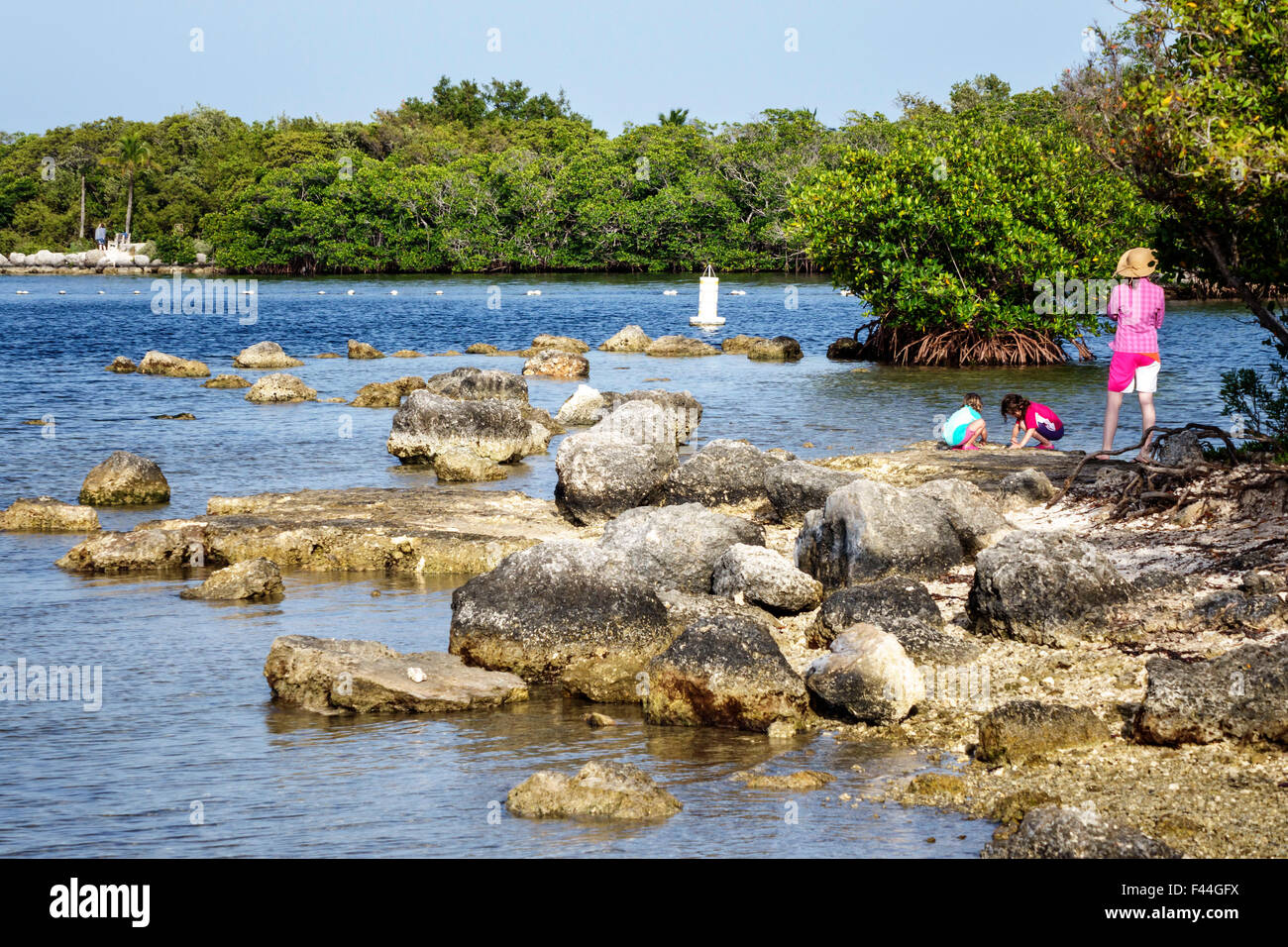 John pennekamp coral reef state park largo sound High Resolution Stock ...
