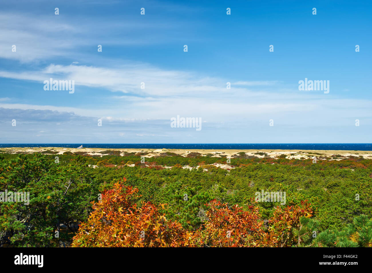 Landscape at Cape Cod Stock Photo - Alamy