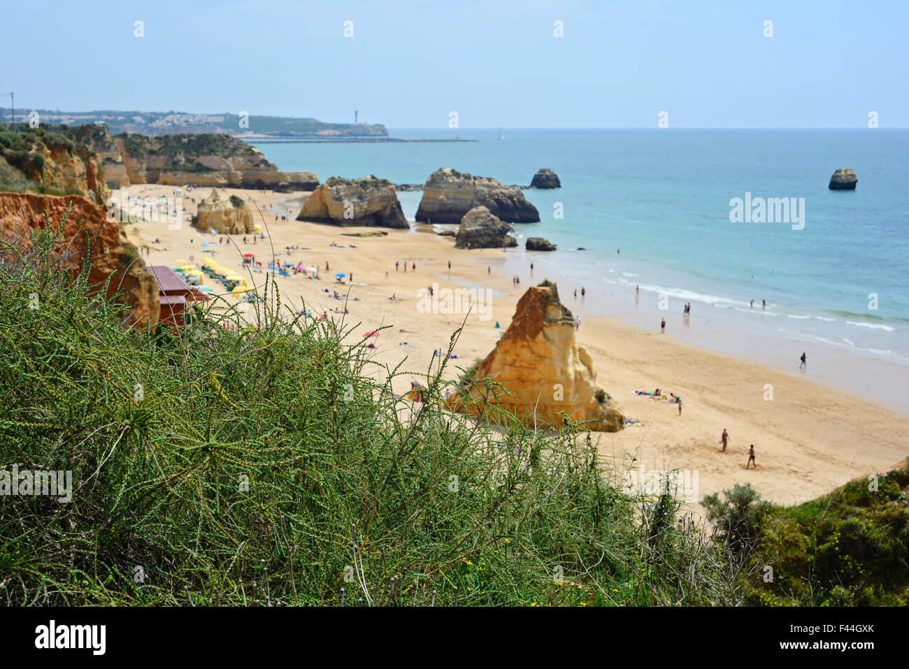 Tropical beach from above hi-res stock photography and images - Alamy