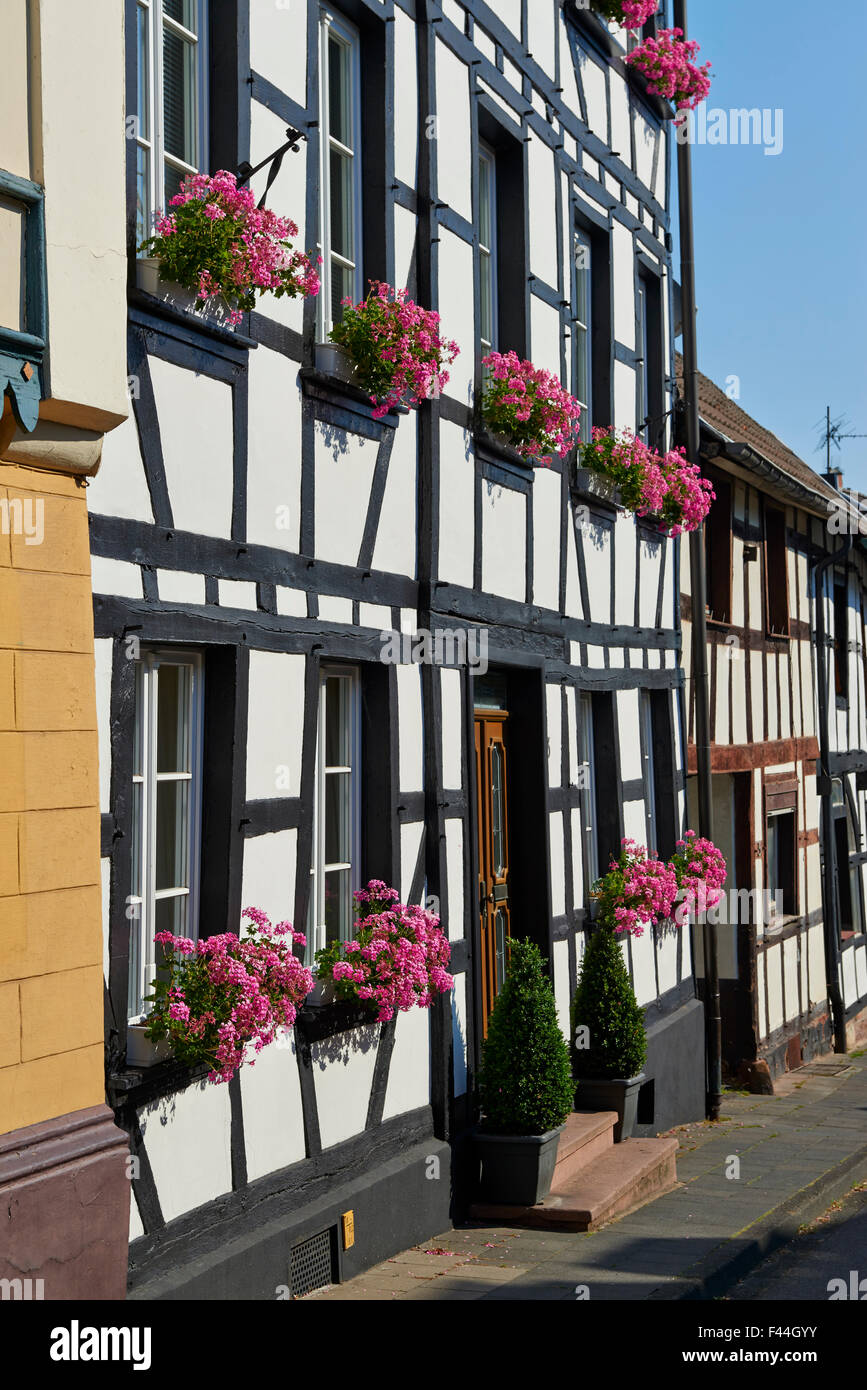 Half Timber Architecture High Resolution Stock Photography and Images ...