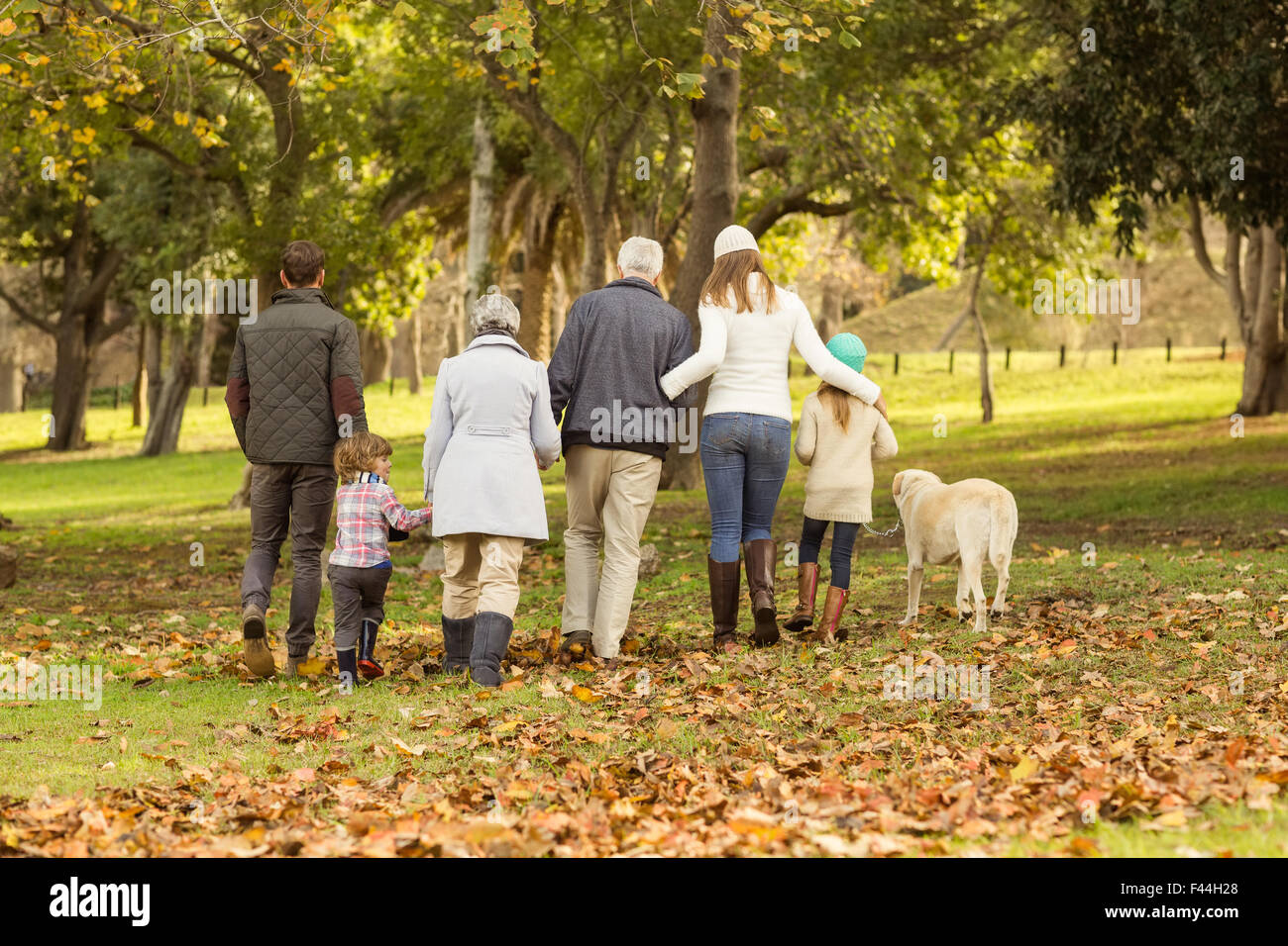 Rear view of an extended family Stock Photo - Alamy