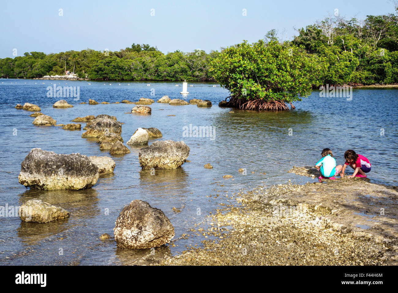 John pennekamp coral reef state park largo sound High Resolution Stock ...