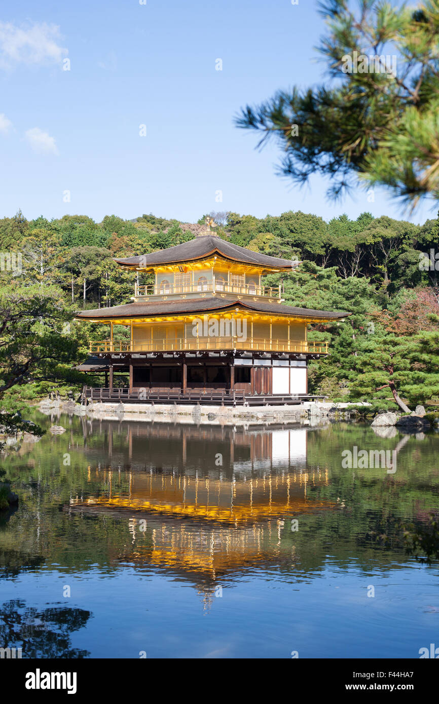 Golden Shinto shrine Kinkakuji centered with water reflection Stock ...