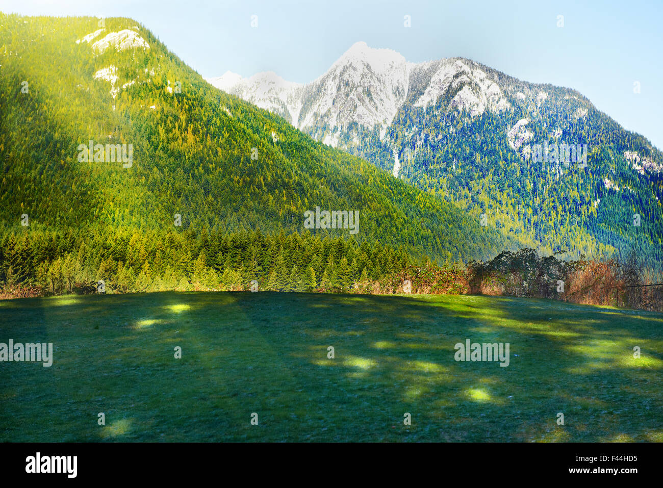 Green field and mountains Stock Photo - Alamy