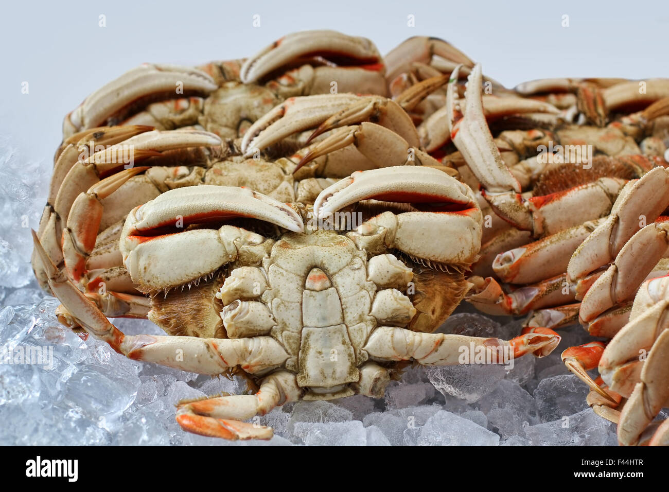 Marines lunch hi-res stock photography and images - Alamy