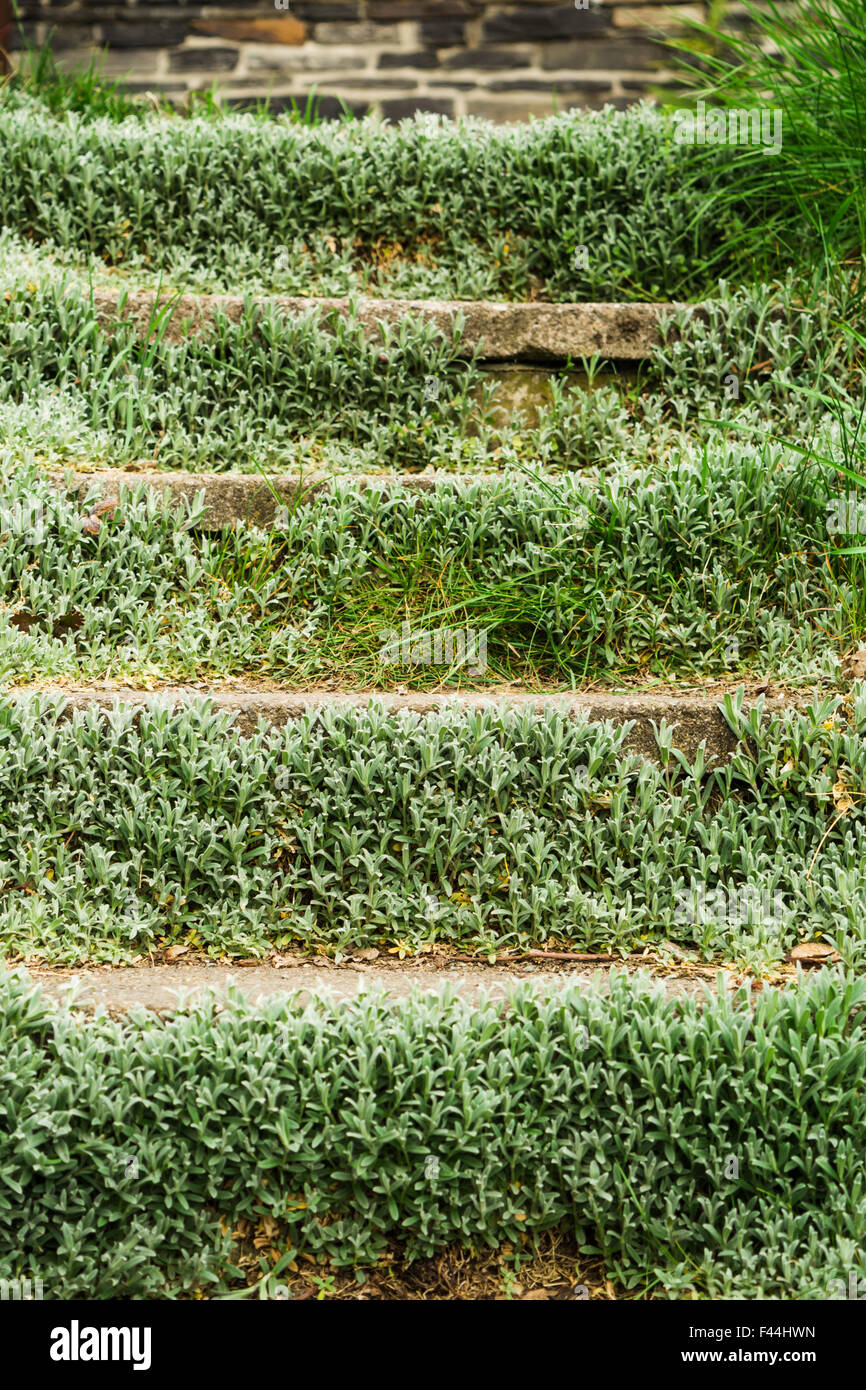 Garden stone steps hi-res stock photography and images - Alamy