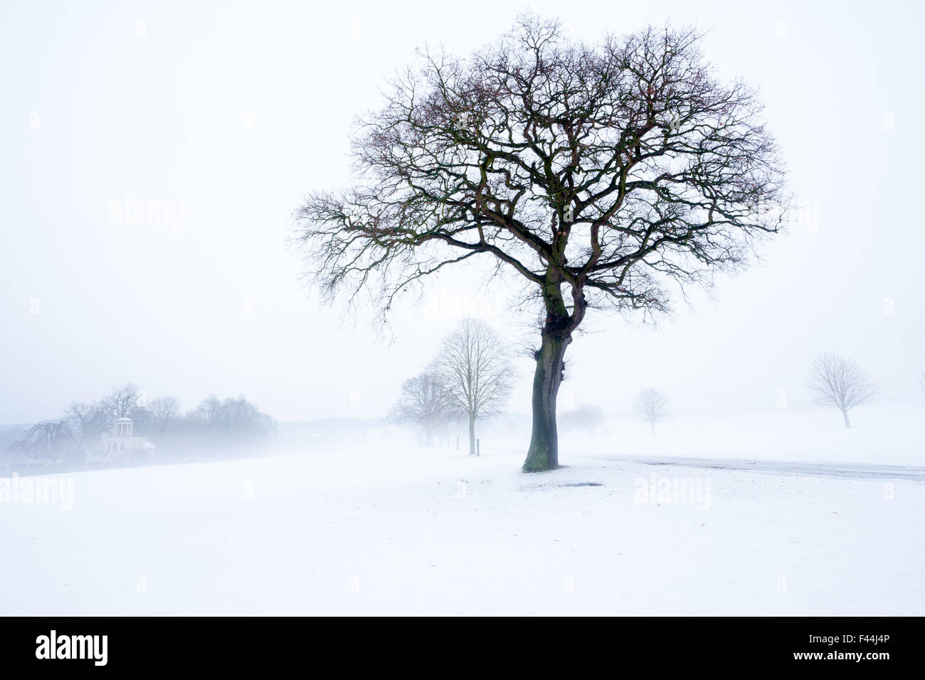 Winter trees in a snow filled landscape Stock Photo - Alamy