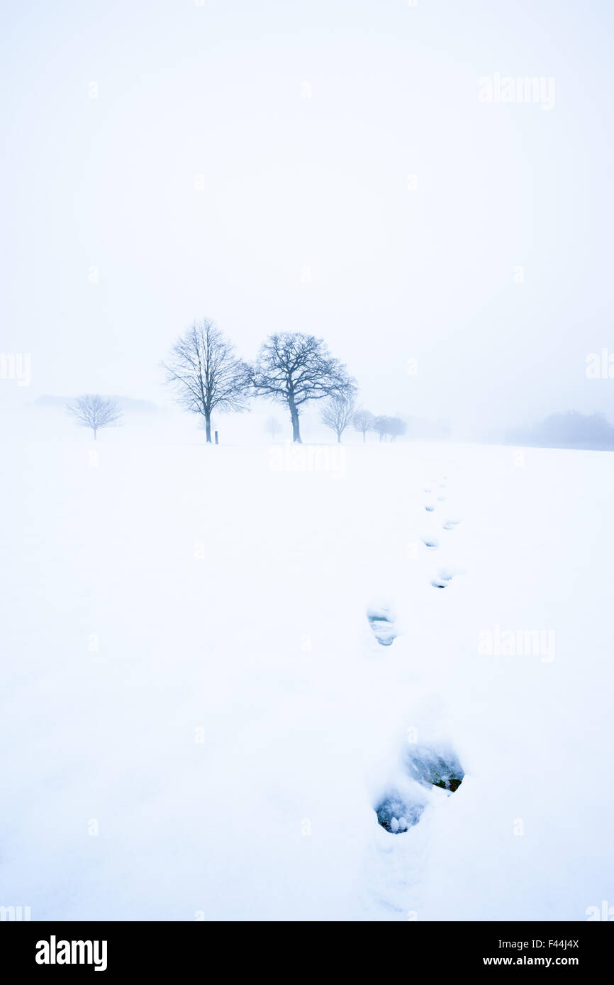 Footprints landscape hi-res stock photography and images - Alamy