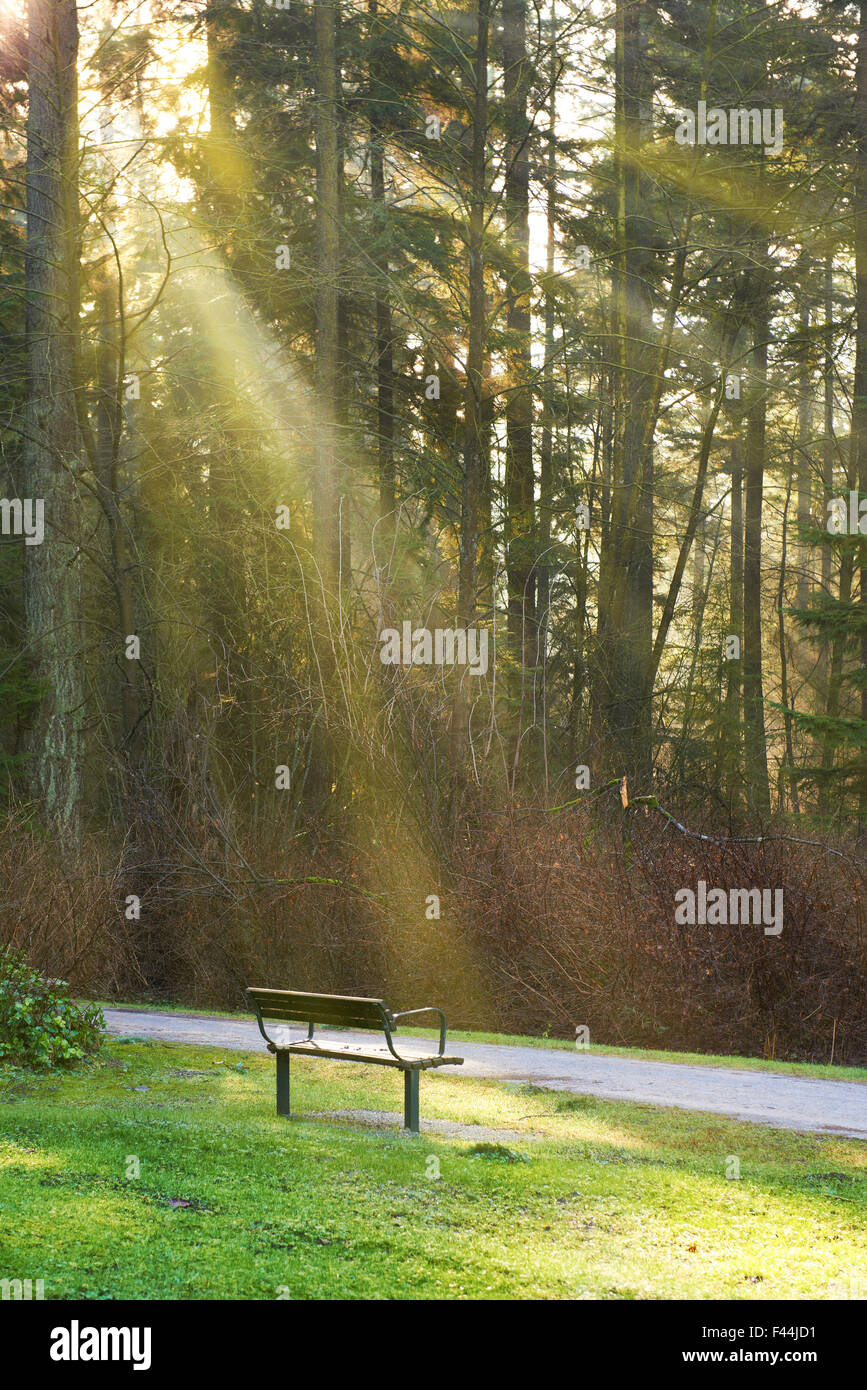 Bench road hi-res stock photography and images - Alamy