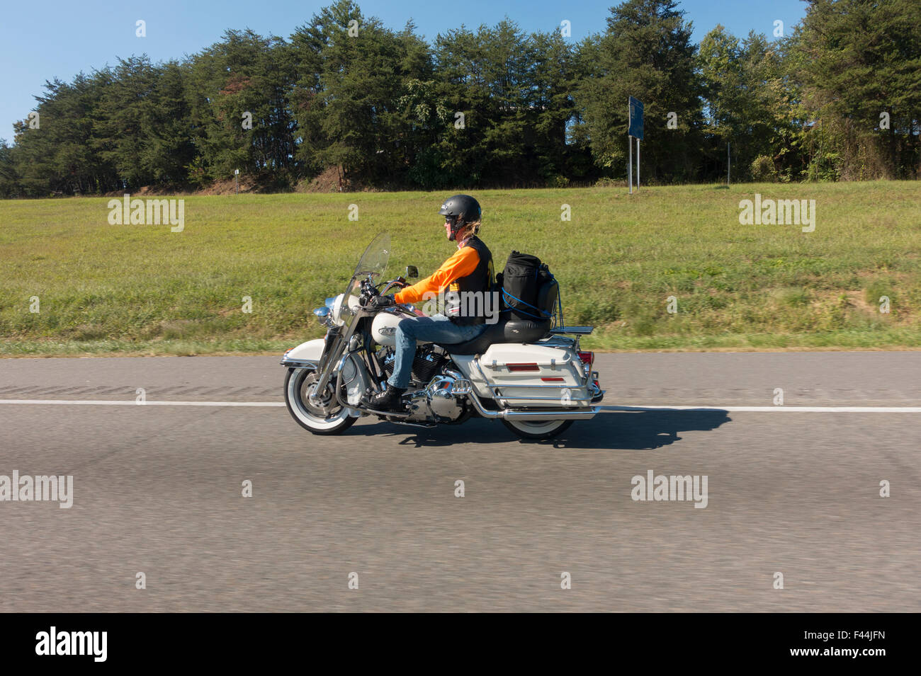 woman riding Harley Davidson motorcycle Stock Photo - Alamy