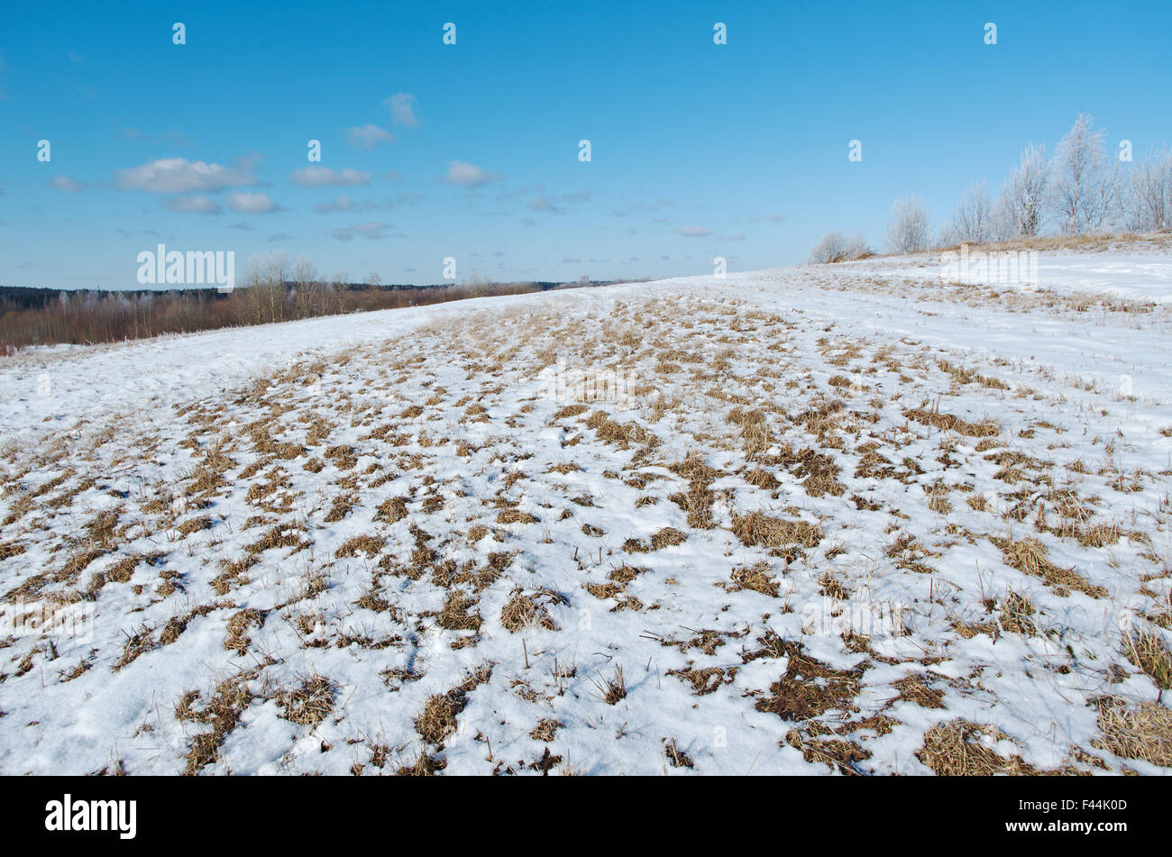 Frozen landscape detail hi-res stock photography and images - Alamy