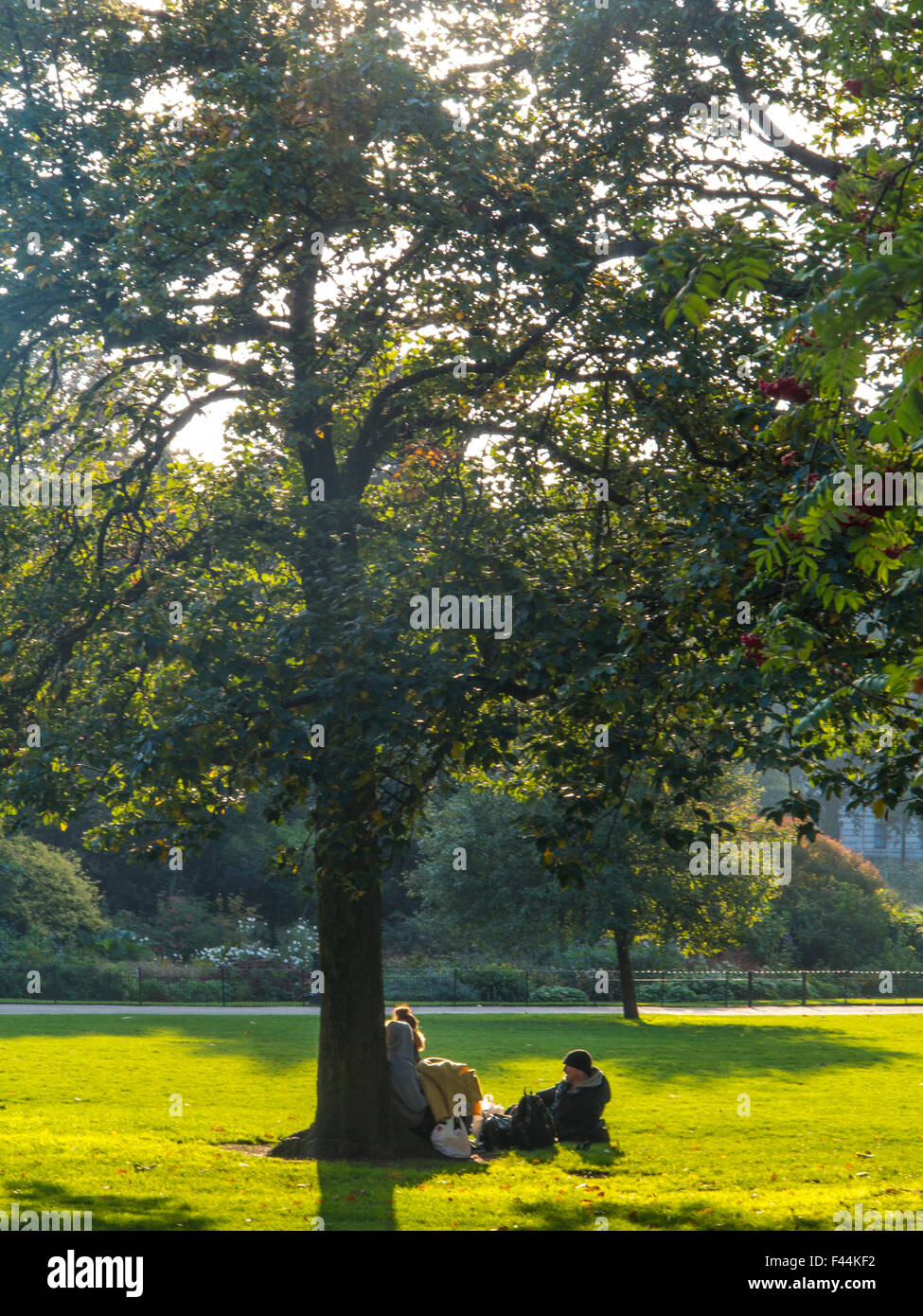Long shadows in autumn in St James's Park in central London Stock Photo ...