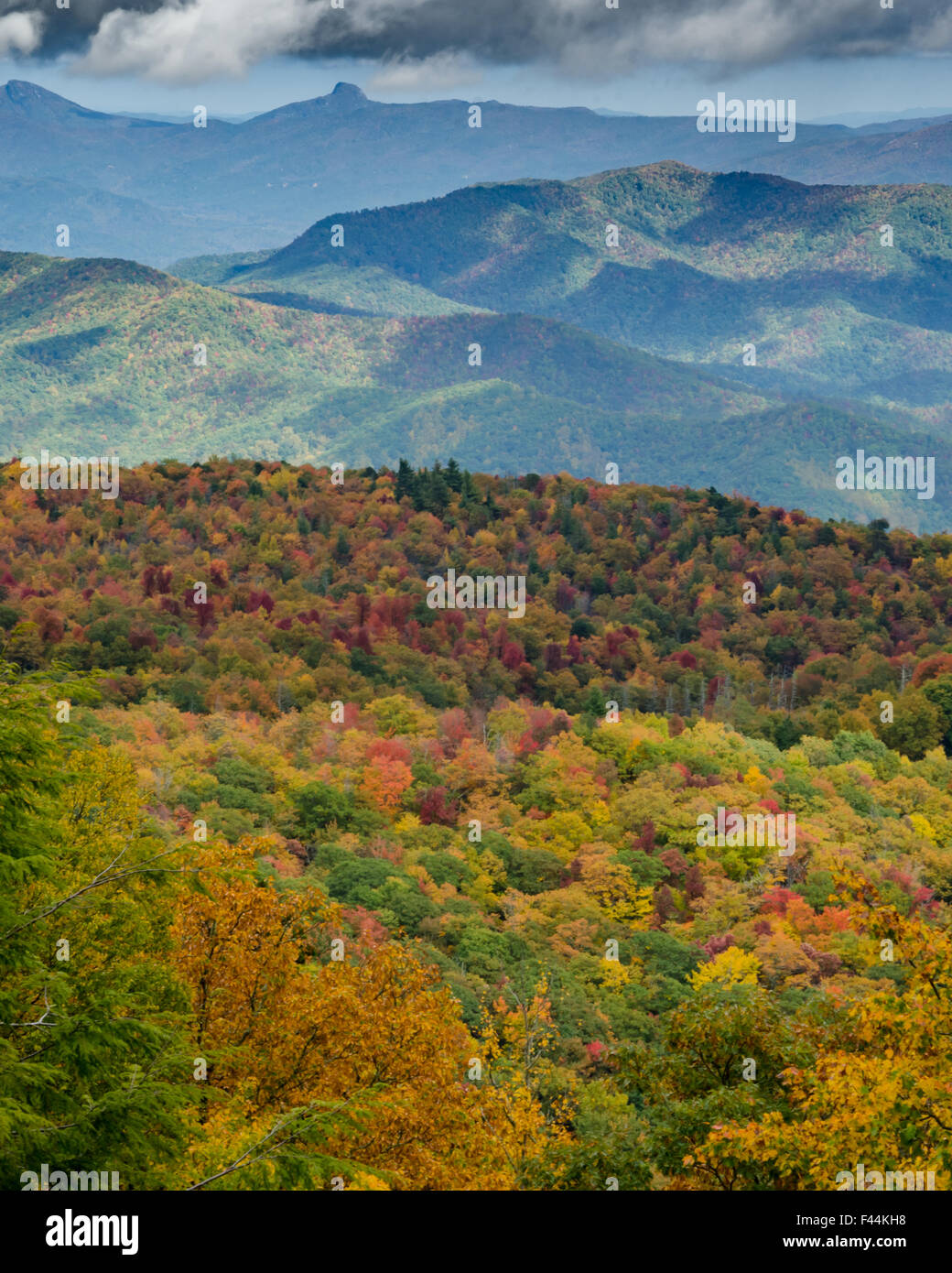 Layers of mountains covered in fall foliage Stock Photo - Alamy