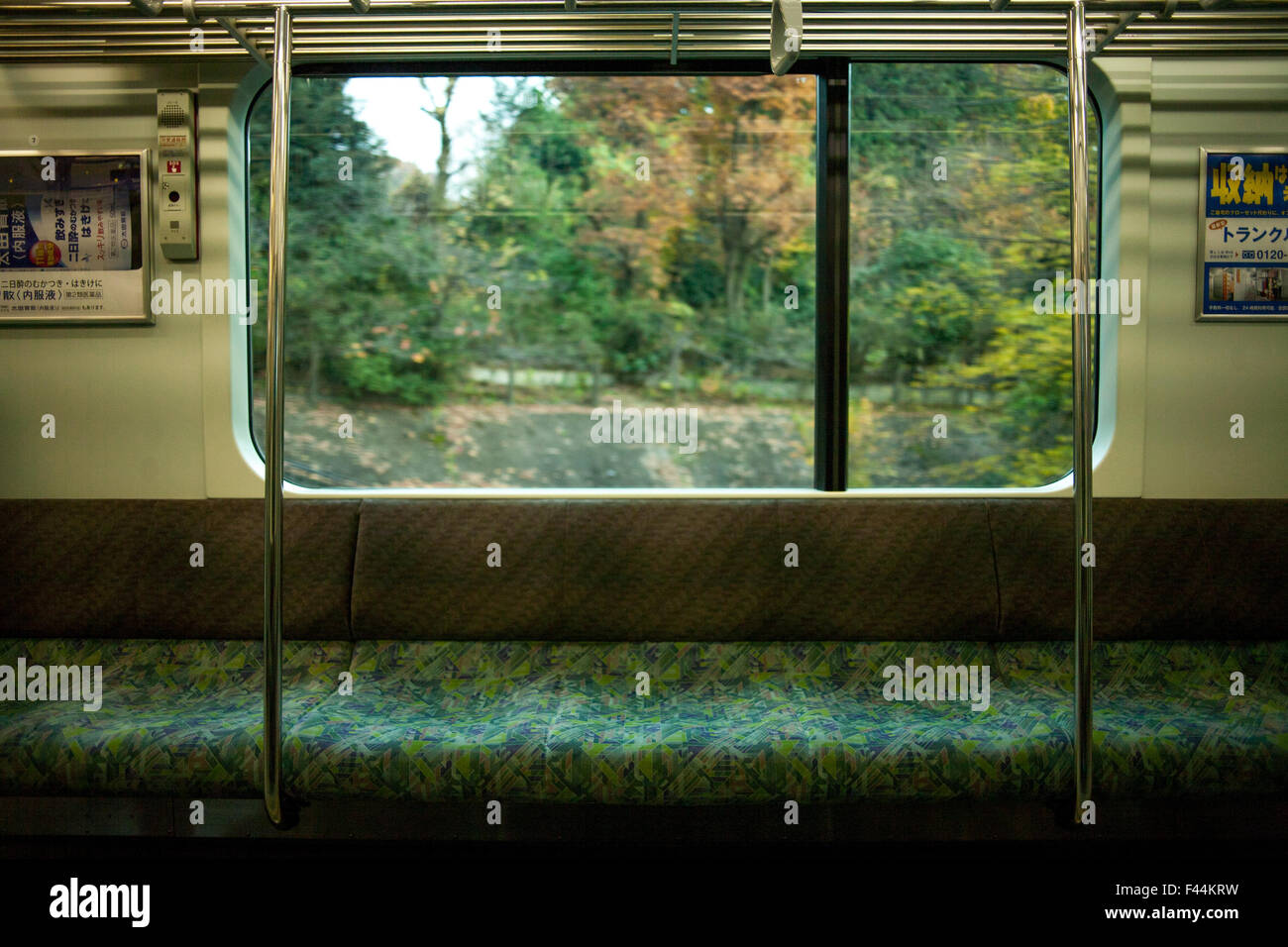 Empty train bench with window view of green foliage Stock Photo - Alamy