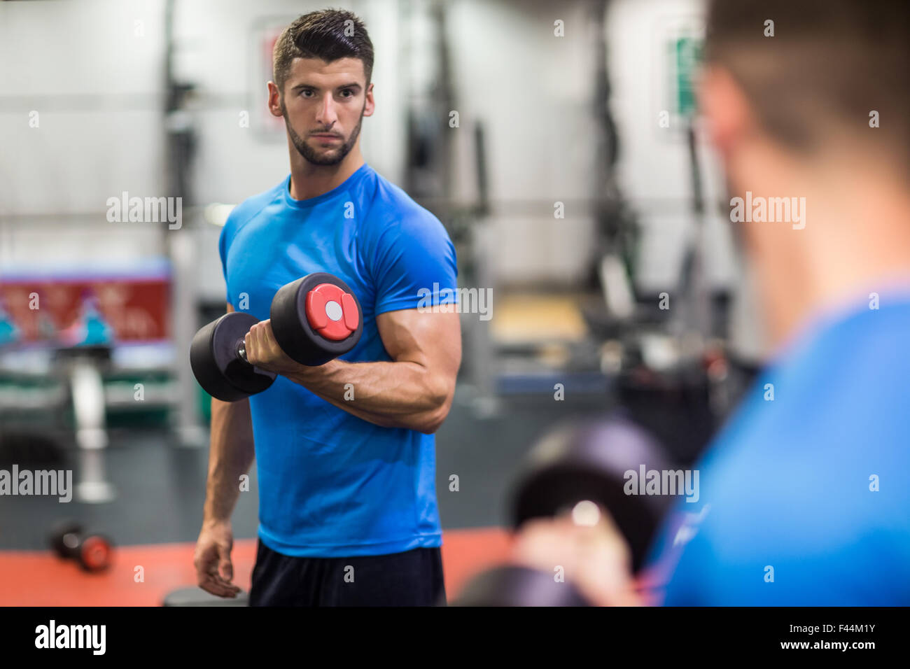 Man using weights in his workout Stock Photo - Alamy