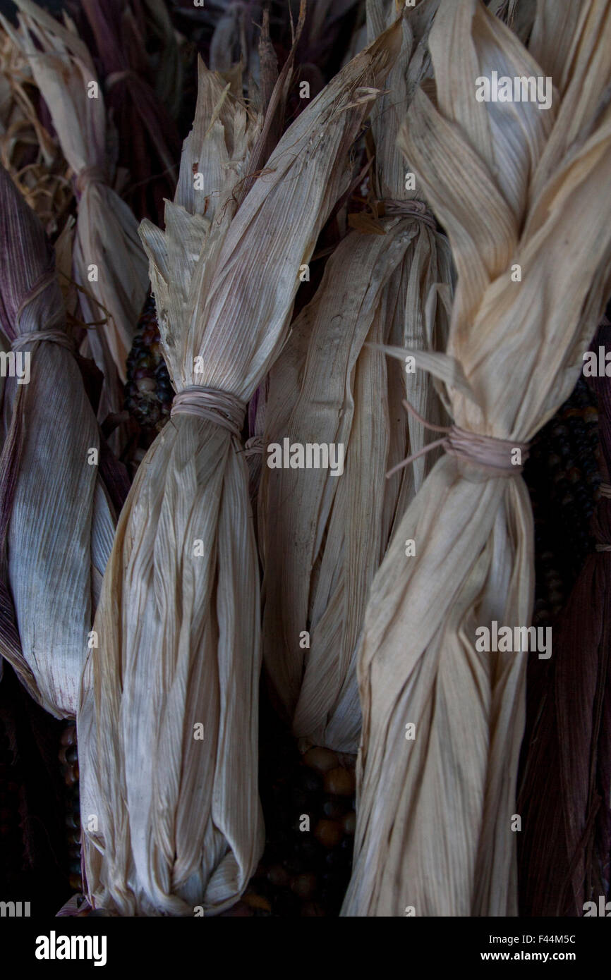 Multi color corn hi-res stock photography and images - Alamy