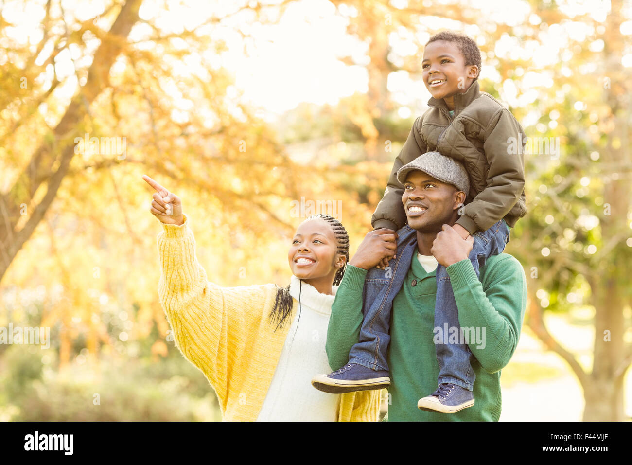 Young smiling family pointing something Stock Photo - Alamy