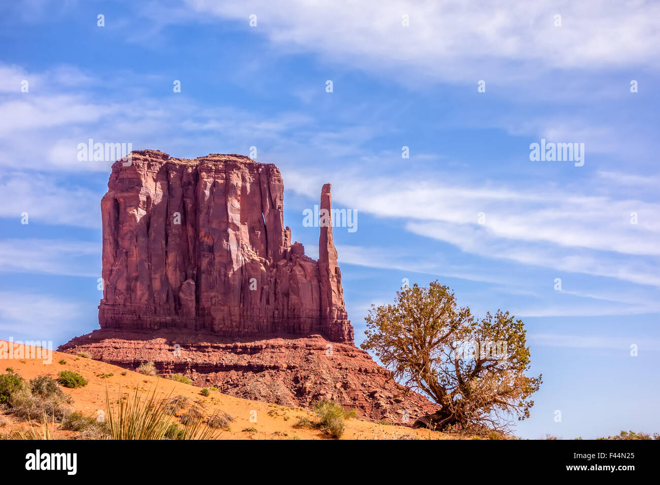 A tree and a butte in Monument Valley Stock Photo - Alamy