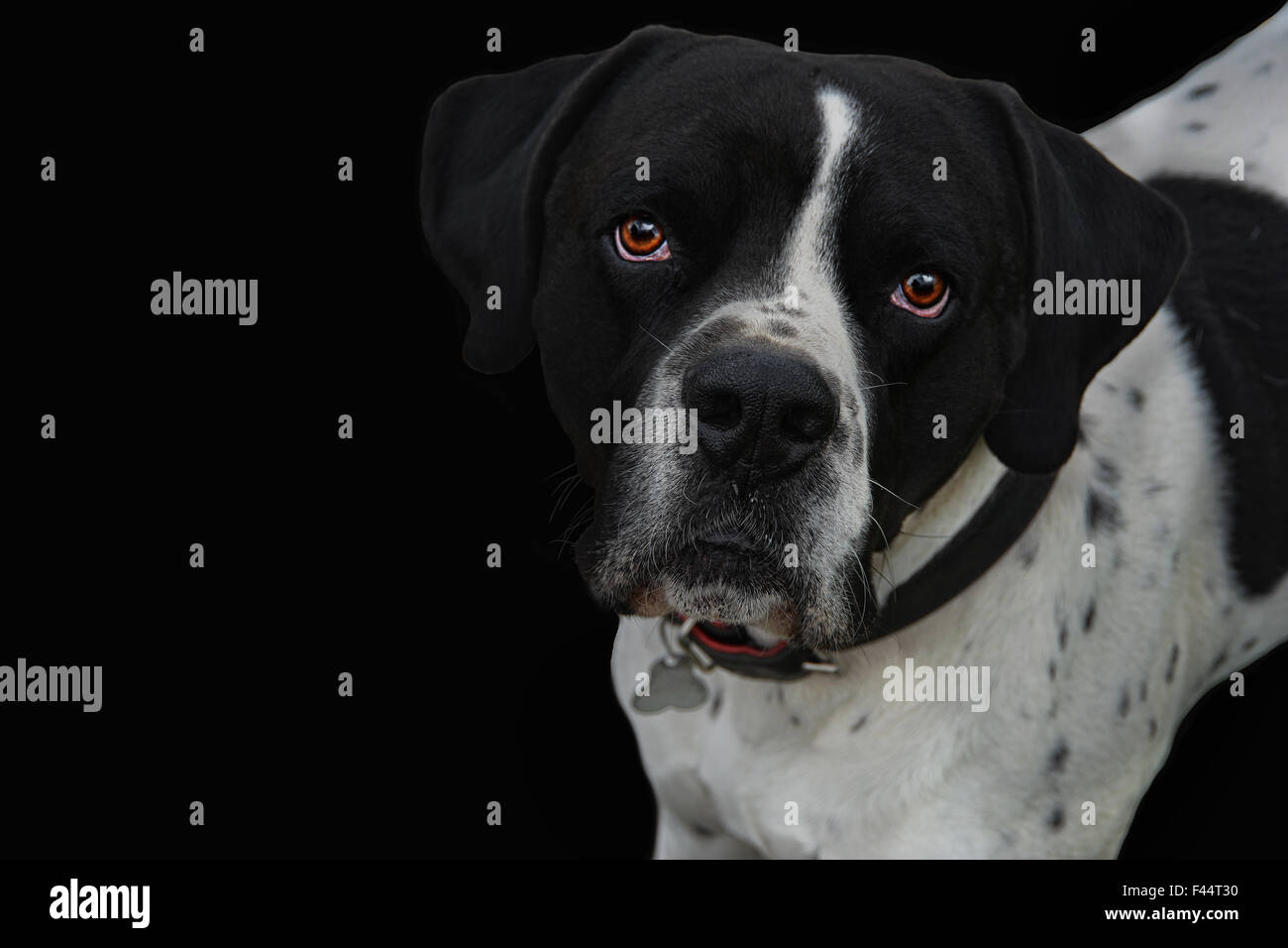 From spain hi-res stock photography and images - Alamy