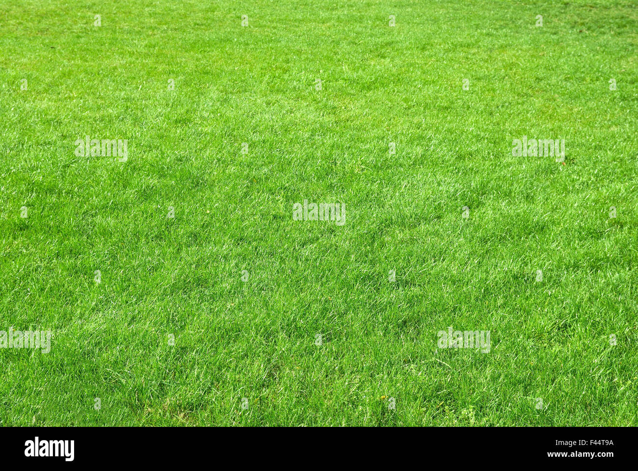 Simple ground texture hi-res stock photography and images - Alamy