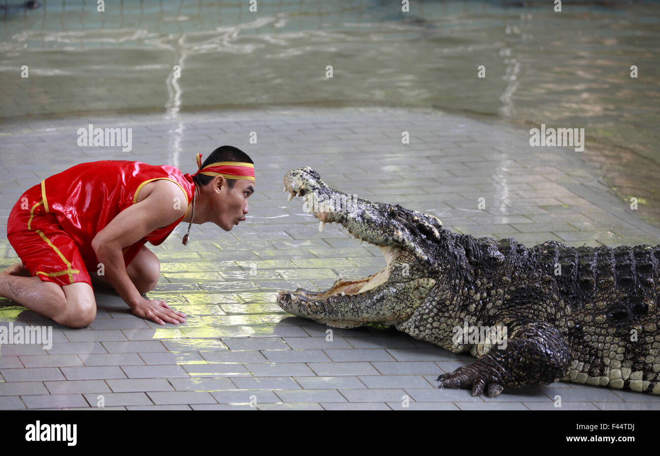 Zoo show reptile hi-res stock photography and images - Alamy