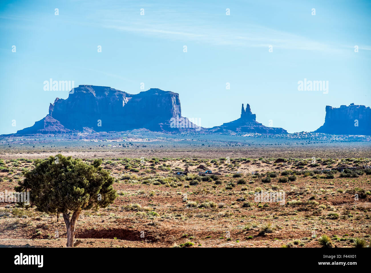 A tree and a butte in Monument Valley Stock Photo - Alamy
