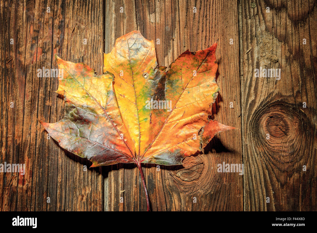 Maple leaf on wood boards Stock Photo - Alamy