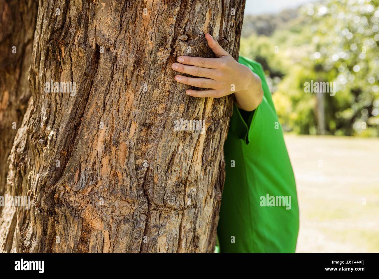 Environmental activist hugging a tree Stock Photo - Alamy