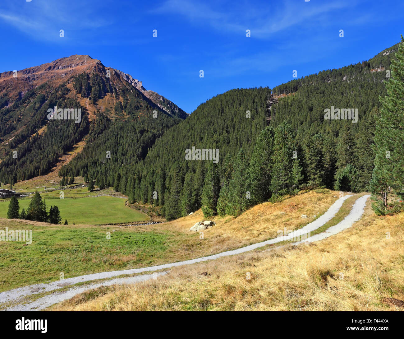 Valley in Austria Stock Photo - Alamy
