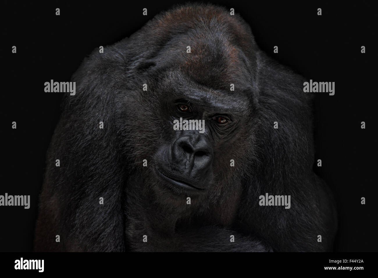 Exp hintergrund hi-res stock photography and images - Alamy