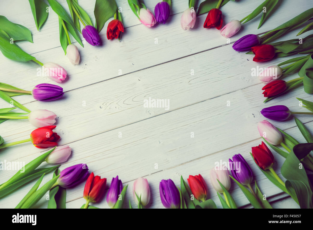 Tulips forming frame Stock Photo - Alamy