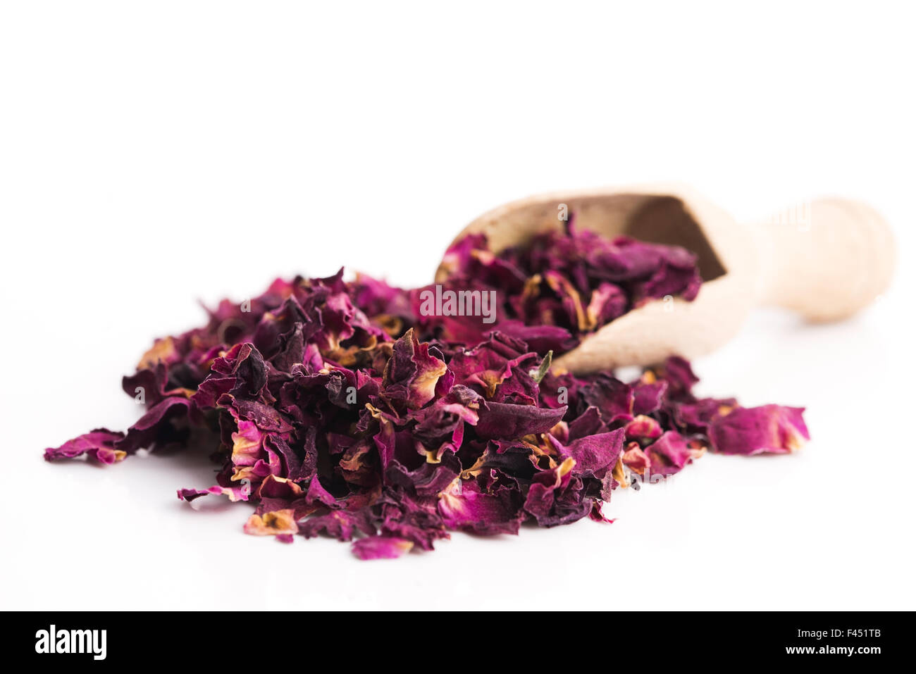 Rough rose bush hi-res stock photography and images - Alamy
