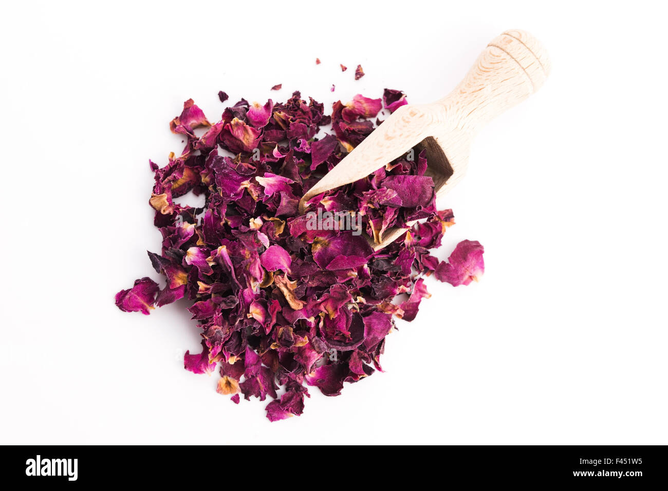 Rough rose bush hi-res stock photography and images - Alamy