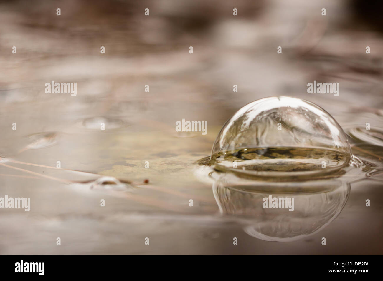 Bubbles formed by rain Stock Photo - Alamy