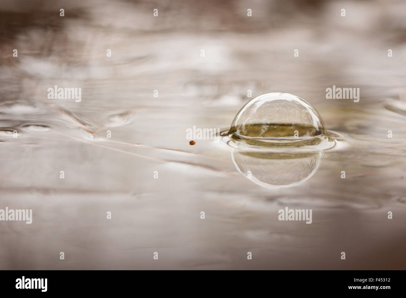 Bubbles rain hi-res stock photography and images - Alamy