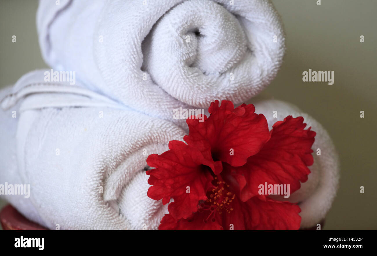 Hot rolled hi-res stock photography and images - Alamy