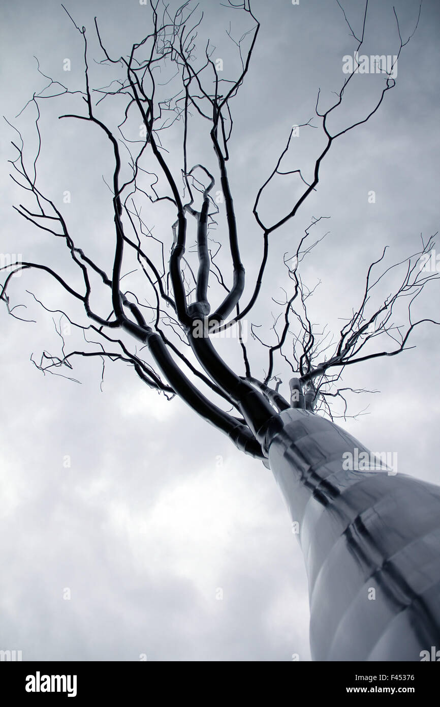 Iron tree hi-res stock photography and images - Alamy