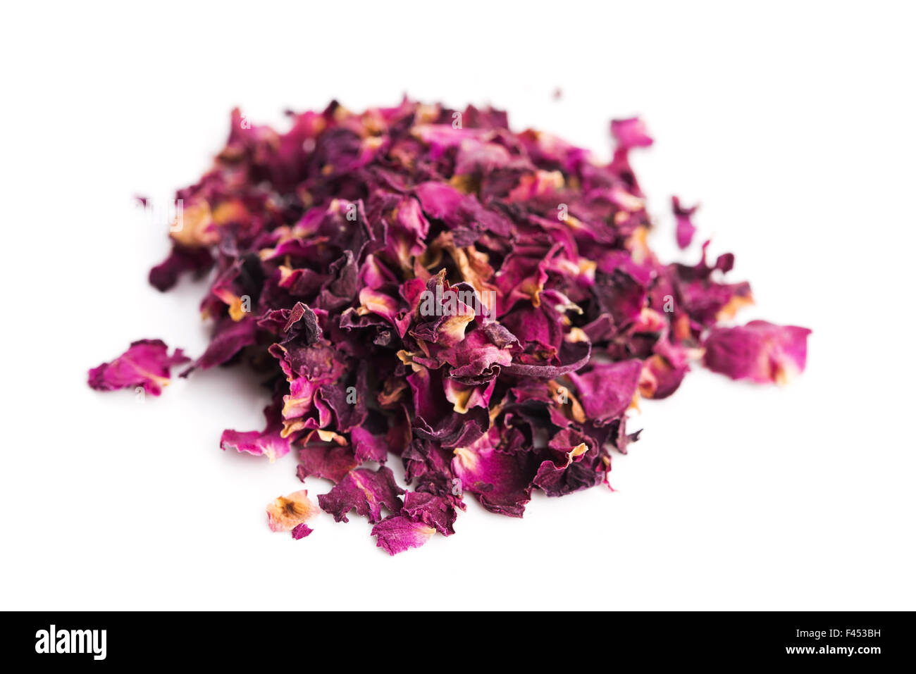 Rough rose bush hi-res stock photography and images - Alamy
