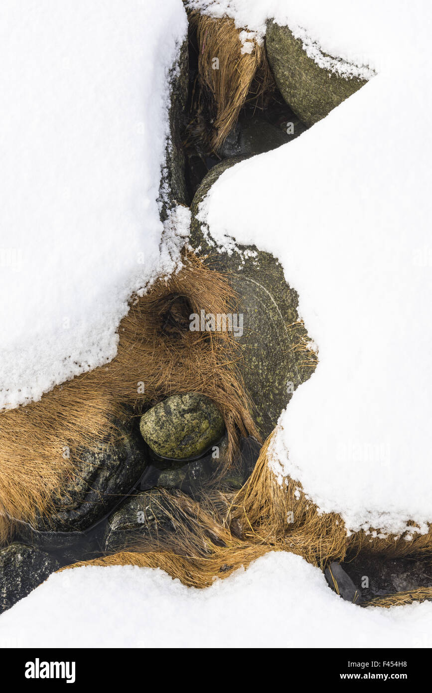 tidal pool, Lofoten, Norway Stock Photo - Alamy