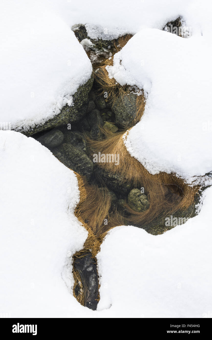 tidal pool, Lofoten, Norway Stock Photo - Alamy