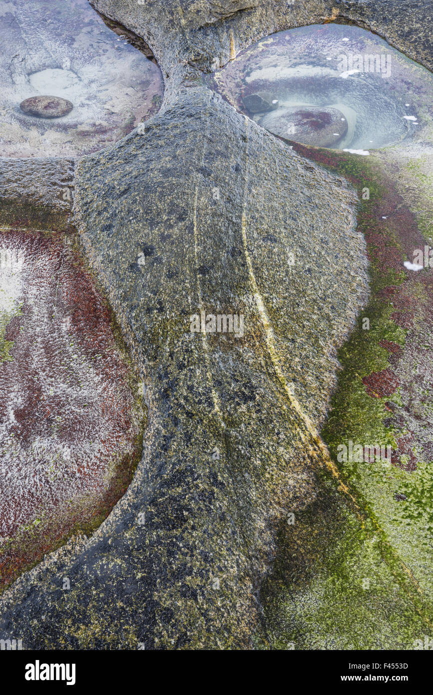 Tidal pool lofoten norway hi-res stock photography and images - Alamy