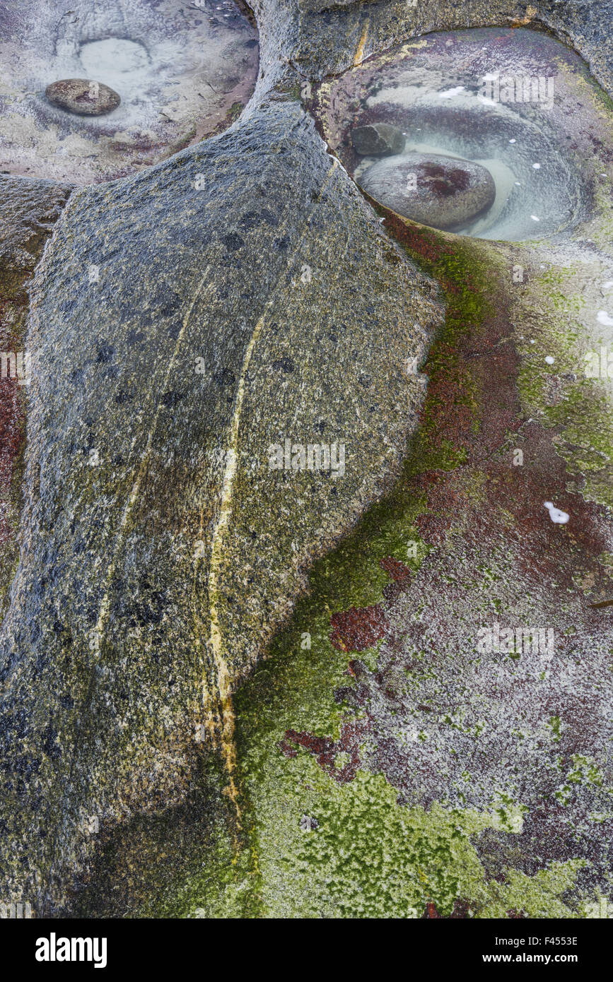 tidal pool, Lofoten, Norway Stock Photo - Alamy