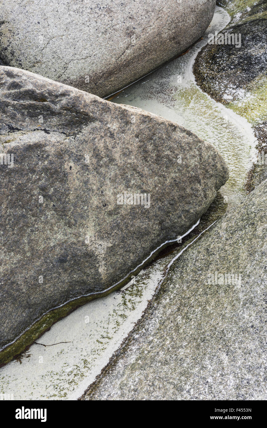 Tidal pool flora hi-res stock photography and images - Alamy